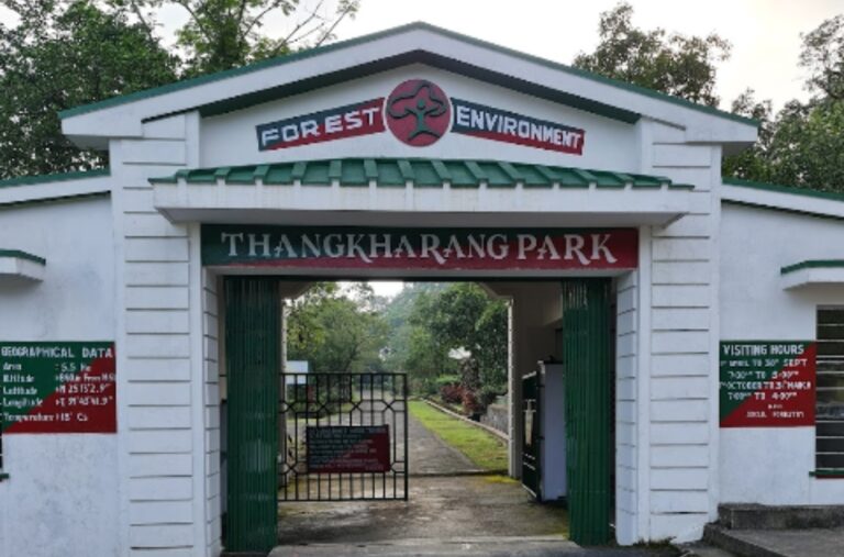 Kynrem Falls - One of the finest places in the village of Cherrapujee