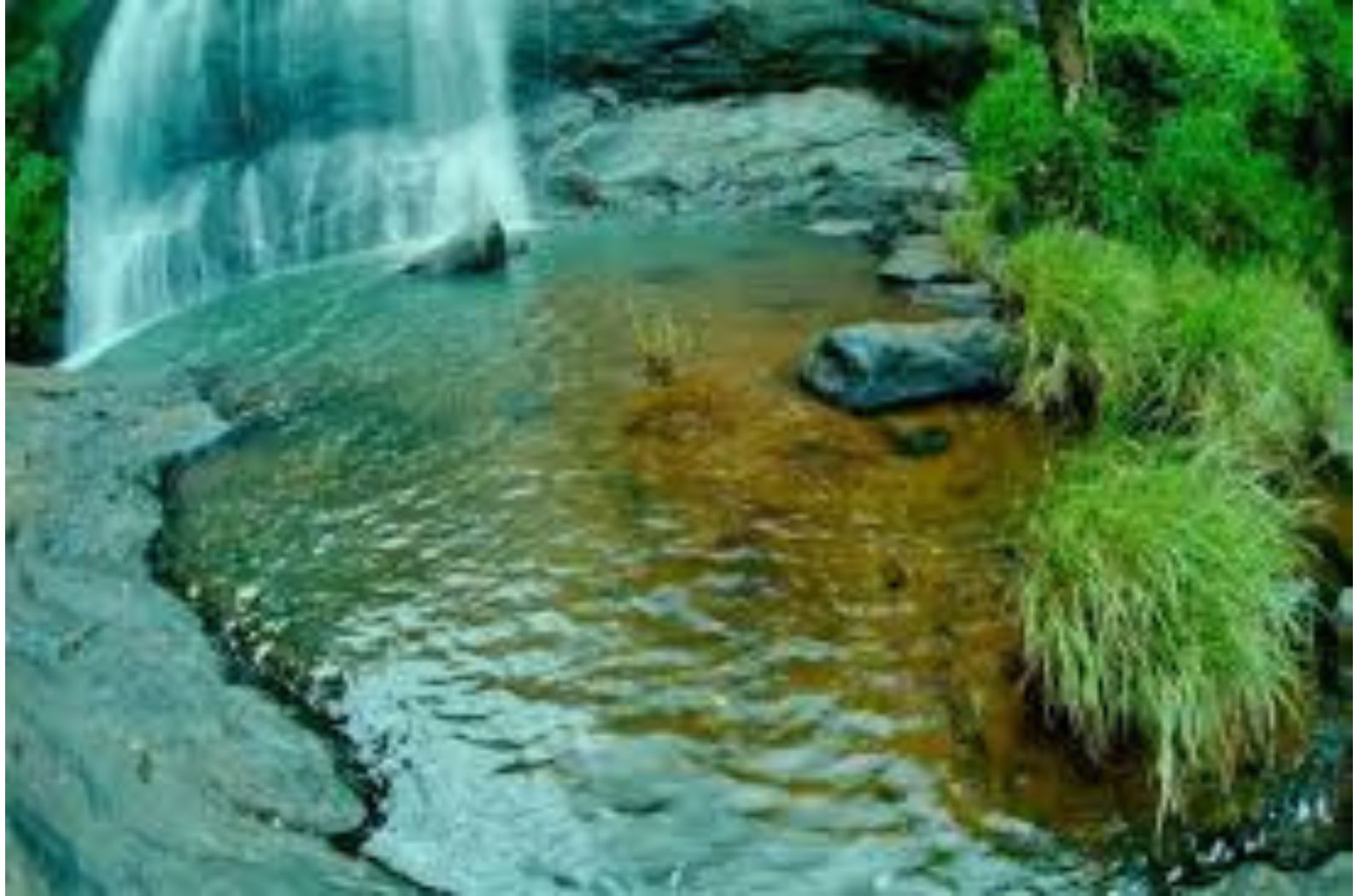 Dhamdha is beautiful Town- Tehsil in Durg District of Chattisgarh