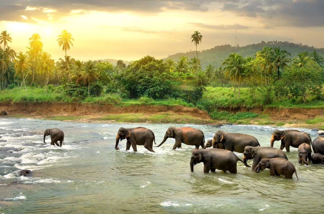 Pocharam Wildlife Sanctuary - Nice place to spend time.